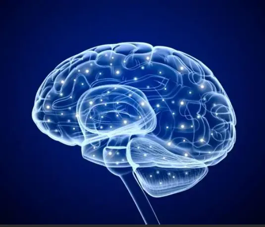 Nerve Force ® | Official site |#1 Naturally Memory Health!
